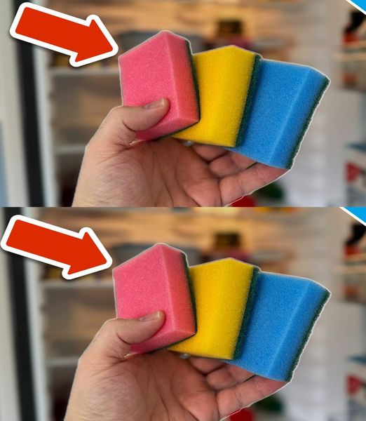 Orchid, the sponge trick to make it bloom: you’ve never had it like ...