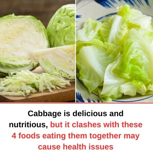 The Health Benefits of Cabbage and Foods to Avoid with It - All Recipes